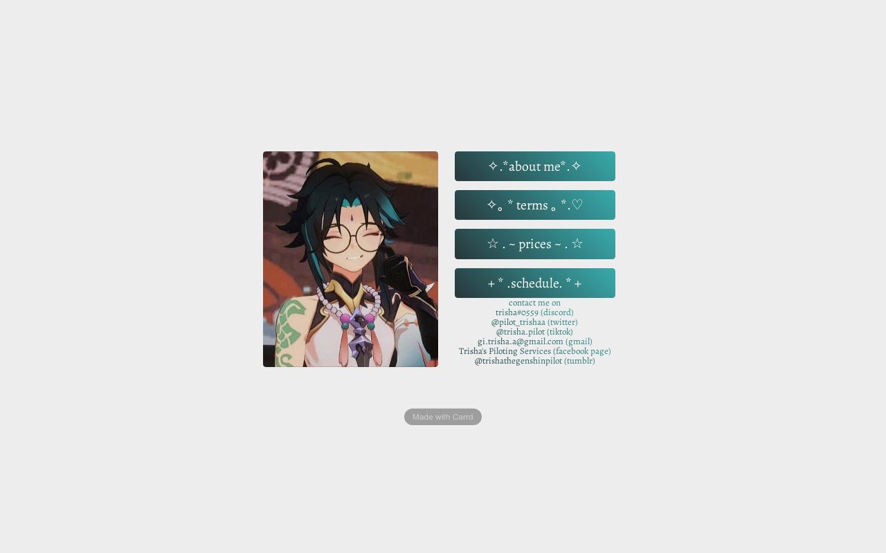 Trisha's Piloting Services